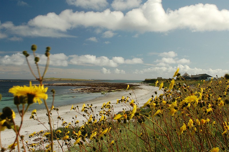 The island of Papa Westray (Papay), Orkney